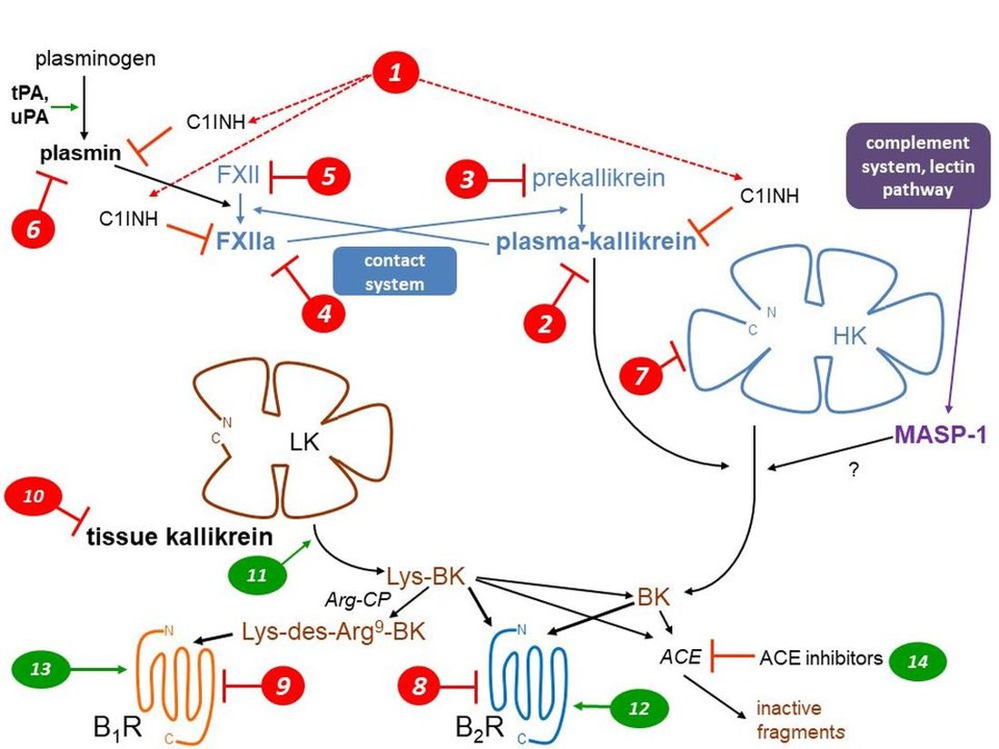 Drugs of the Kallikrein-Kinin System: An Overview[v2] | Preprints.org